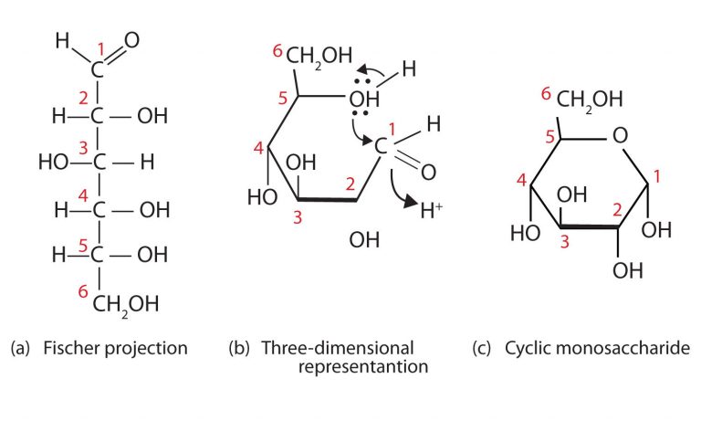 Structures Of Monosaccharides Chemistry Of Food And Cooking