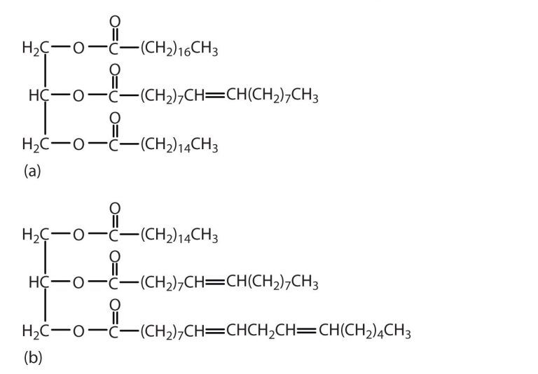 Fats and Oils – Chemistry of Food and Cooking